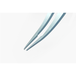 2-111E Bonn Suturing Forceps 0.12mm 6mm